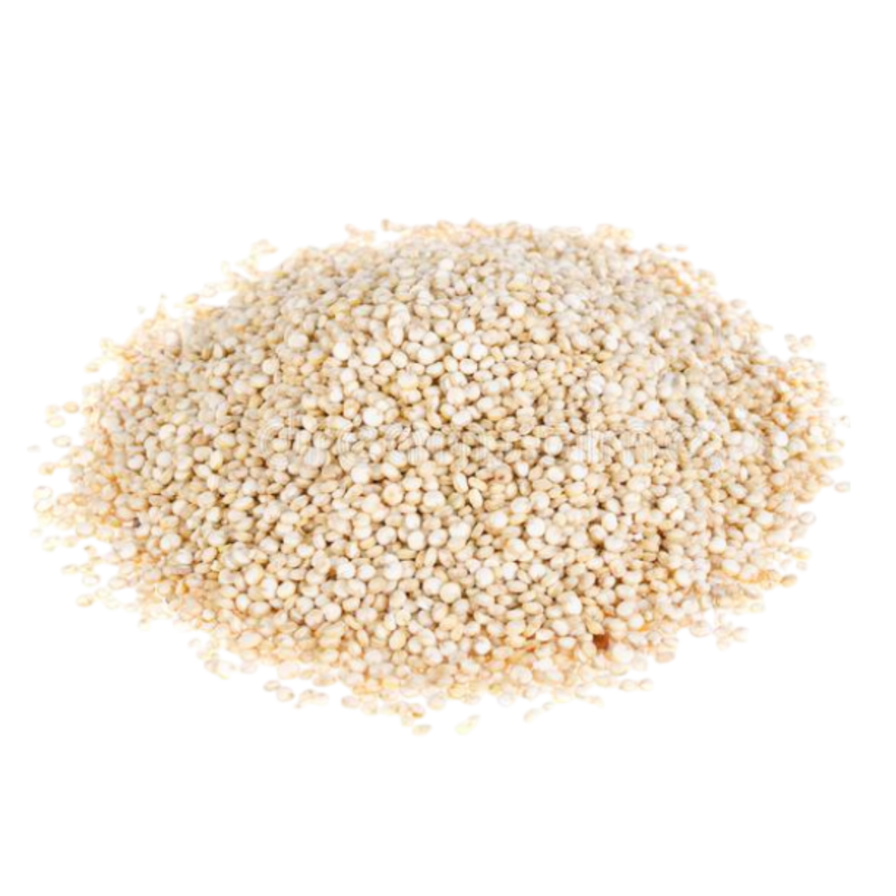 White Quinoa Seeds Manufacturer & Exporter in India | Bulk Supply – Spice Nest